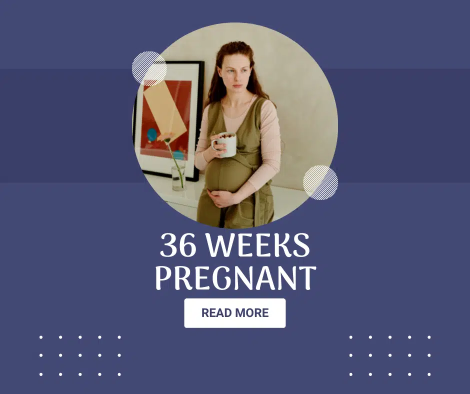 36 Weeks Pregnant: Signs, Tips, Symptoms & Baby’s Development